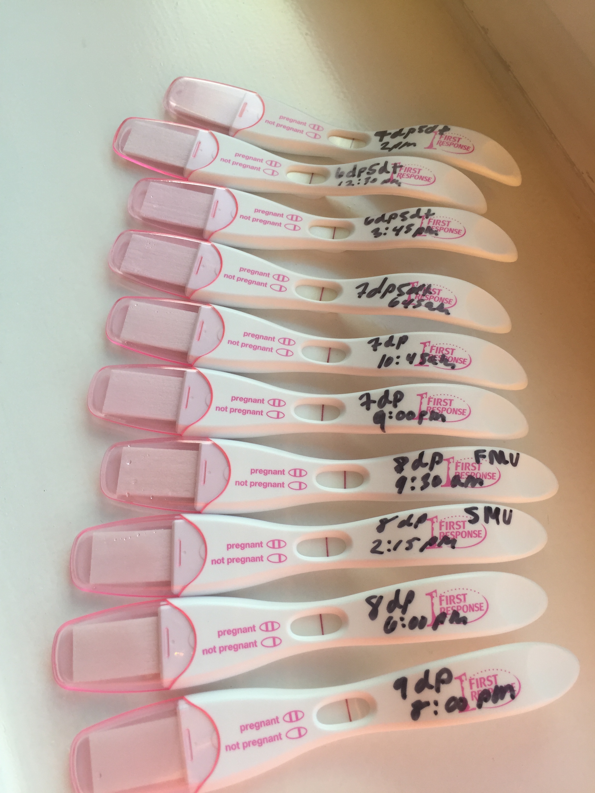 6dp5dt bfp_chemical - Making Babies in Brooklyn